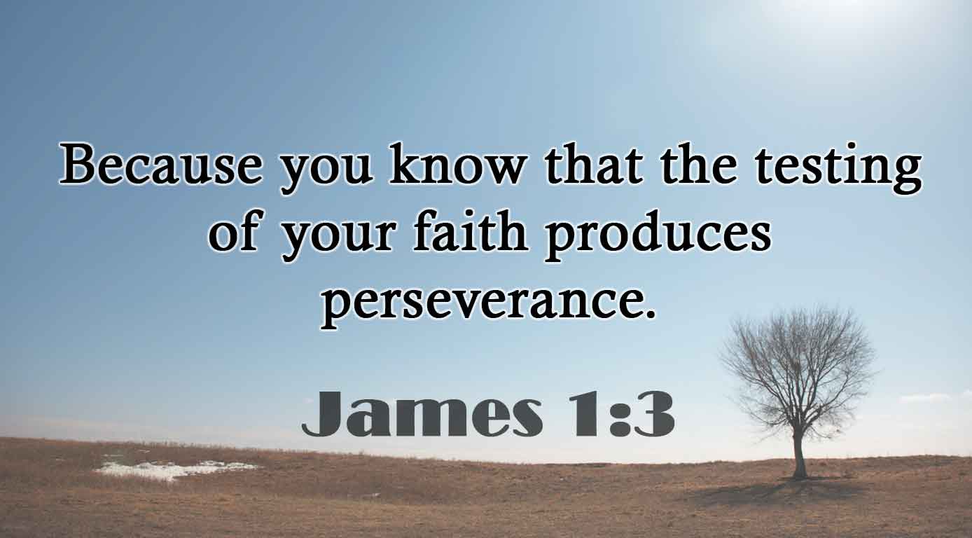James 1:3 – Catholic | San Jose Filipino Ministry